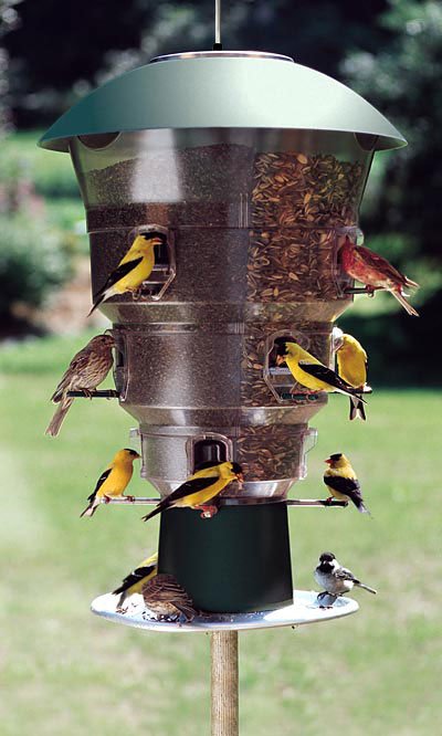 12 Station Squirrel Proof Bird Feeder – Made in the USA
