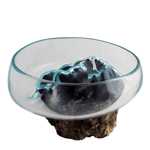 Medium Hand Blown Molten Glass and Wood Root Sculptured Succulent Bowl