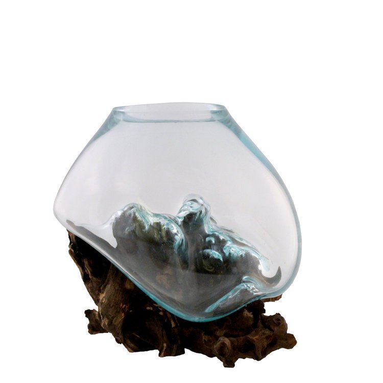 Small Hand Blown Molten Glass and Dark Wood Root Sculptured Terrarium